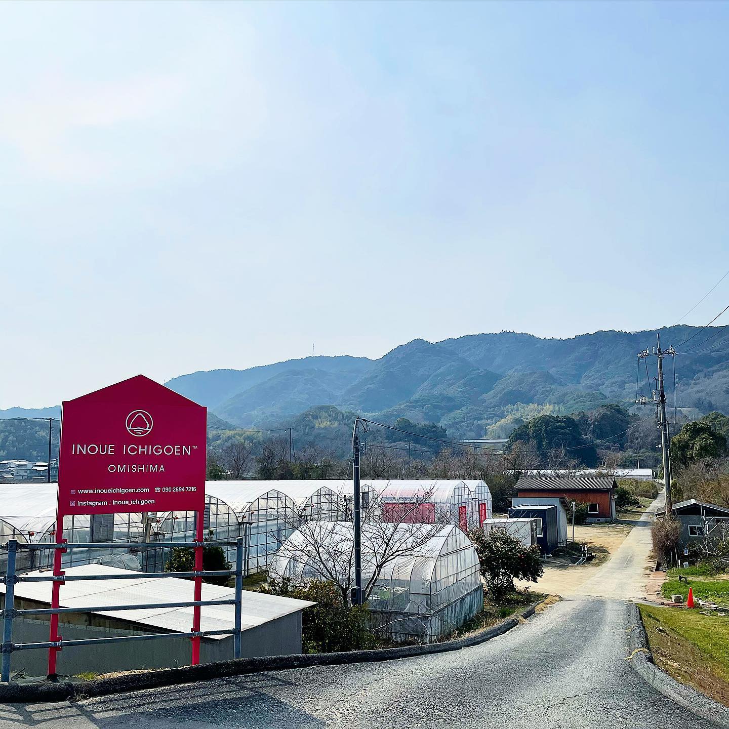 Inoue Ichigoen - ホーム