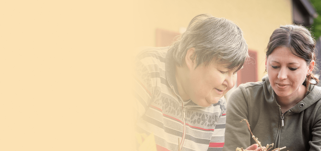 Learning Disability Care Management Platform | Log my Care