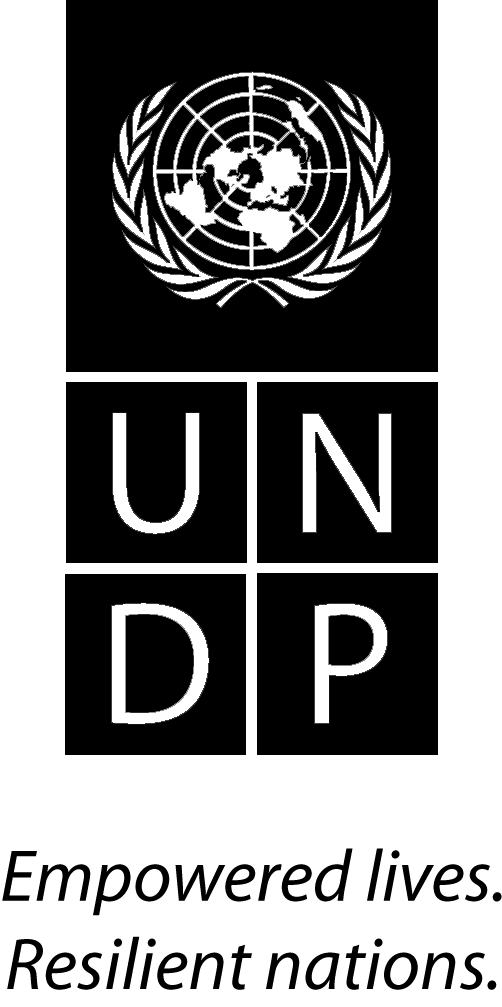 UN Innovation Network | Generative AI Group