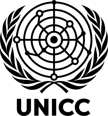 UN Innovation Network | Innovation Scaling Group