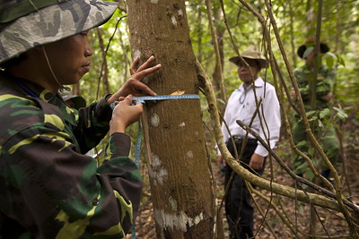 UNIN | Innovation Library | Learning from Experience to Increase Forest ...