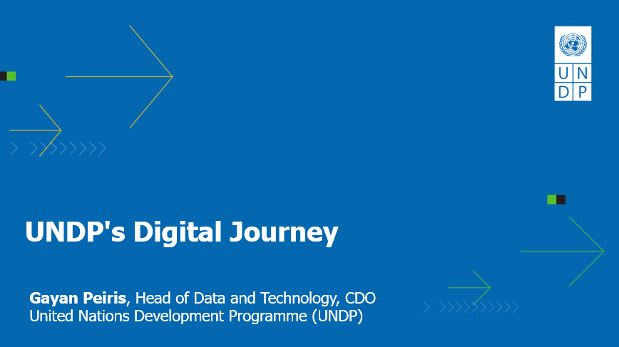 UNIN | Innovation Library | Digital Journey - UNDP's Perspective