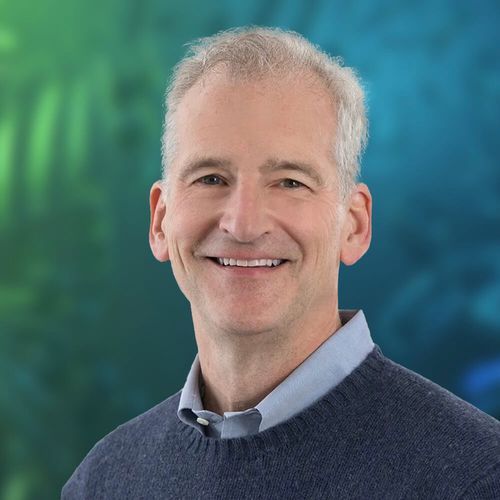 NIS: the CRO for cryo EM