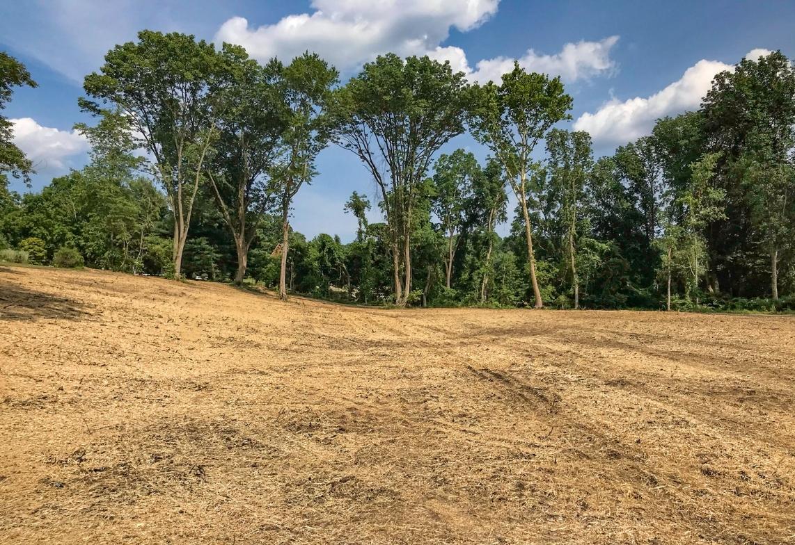 The Tree Connection | Tree Services | Coatesville PA