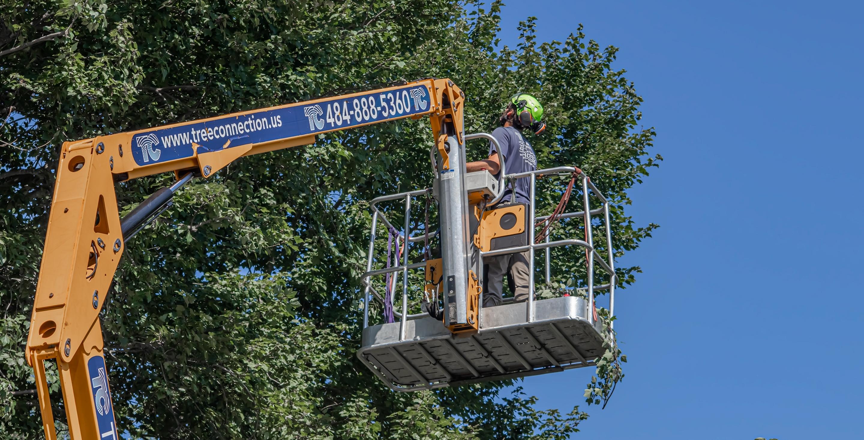 Aerial/Mobile Lifts | The Tree Connection | Coatesville, PA