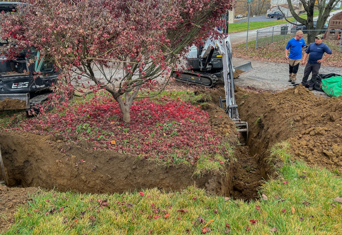 Tree Planting & Transplanting | The Tree Connection | Coatesville, PA