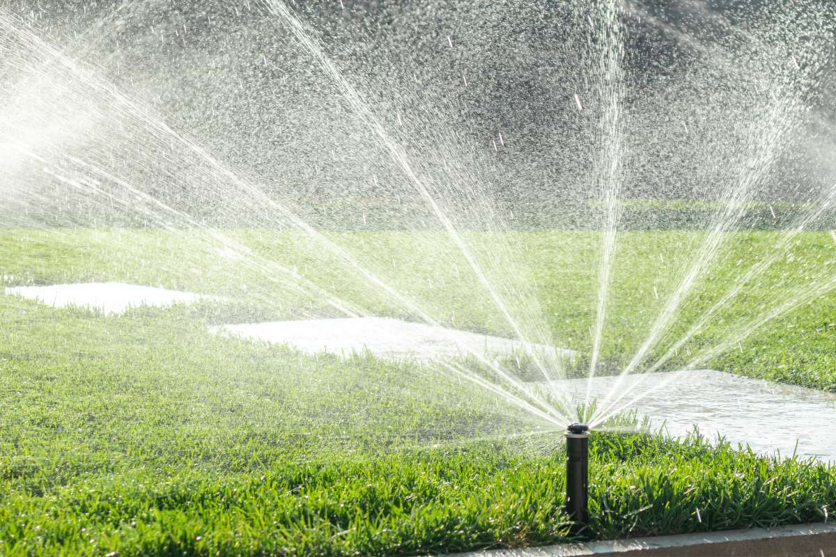 Springtime Erosion Control | The Tree Connection | Coatesville, PA