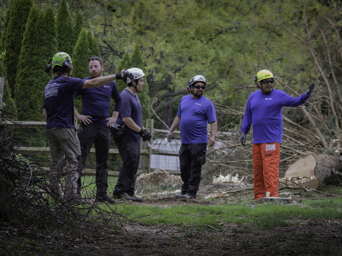 The Tree Connection | Contact Us | Coatesville, PA