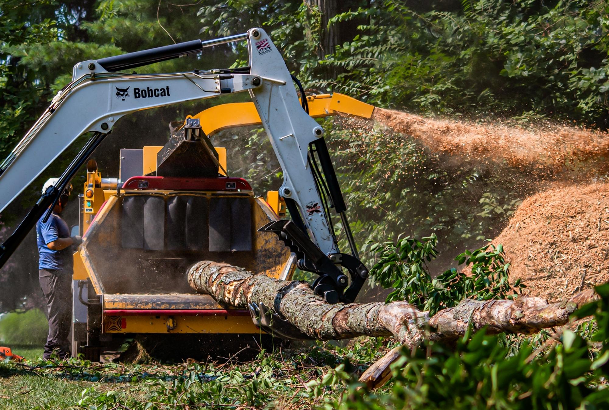 The Tree Connection | About Us | Coatesville PA