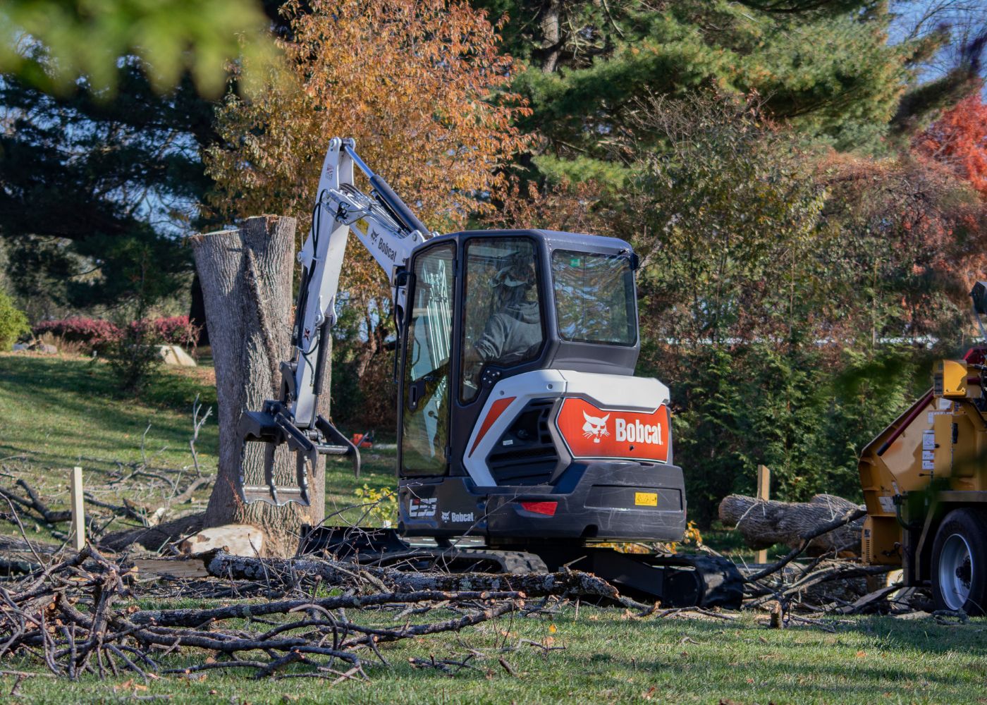 The Tree Connection | About Us | Coatesville PA