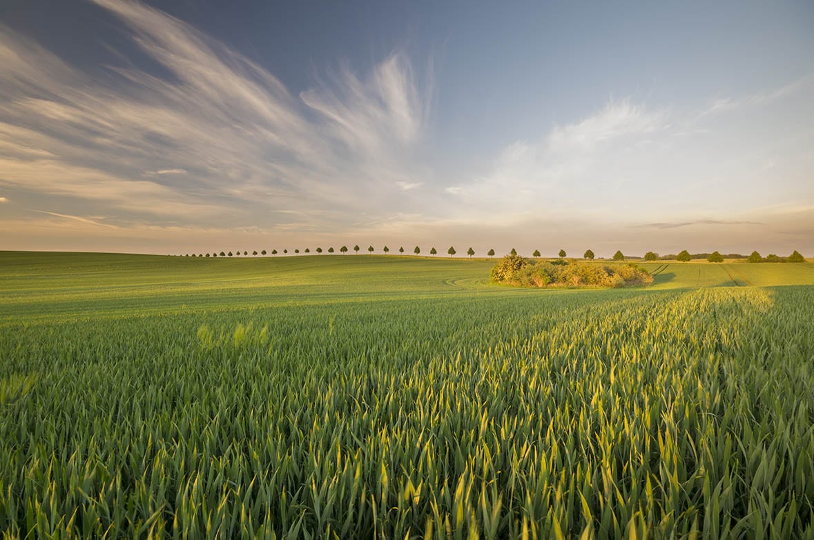 Acreage Land for Sale in New Estates in Australia