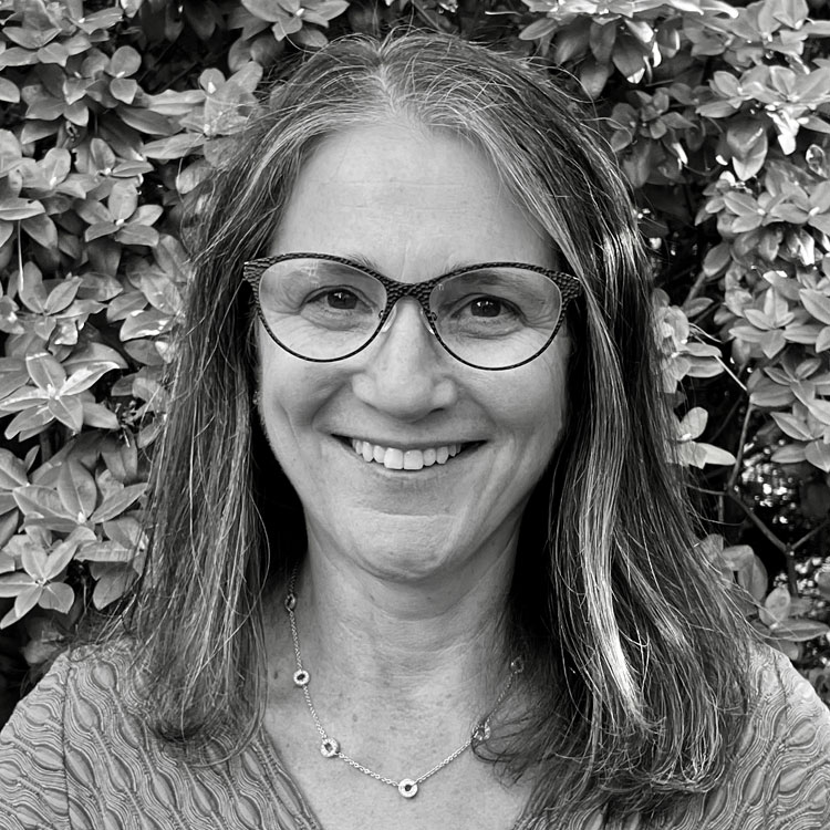 Who We Are - The Team