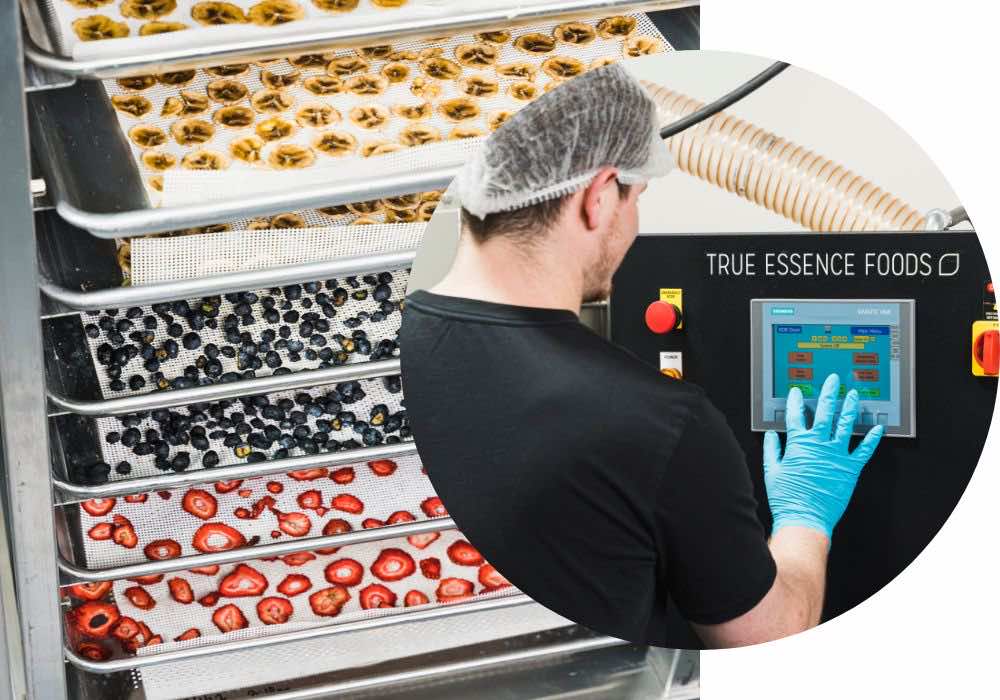 True Essence Foods