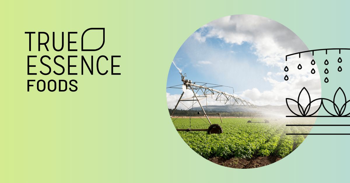 True Essence Foods - Sustainability