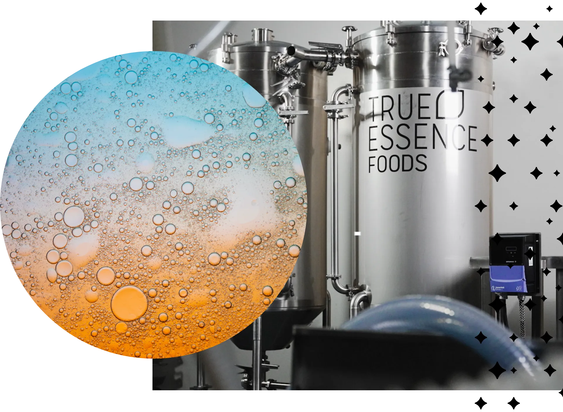True Essence Foods - Contact Us