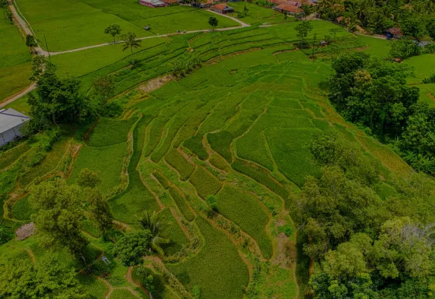 Soil API - Make Better Decisions With Soil Data - Ambee