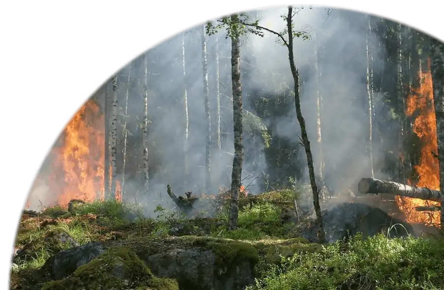 Wildfire API | For Most Accurate Wildfire Data In The World