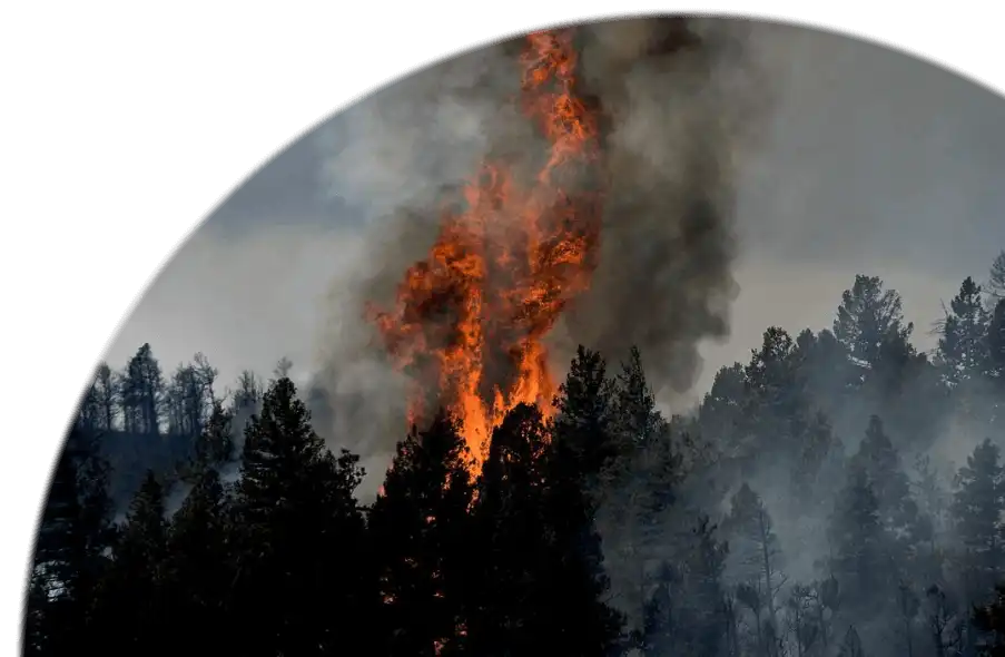 Wildfire API | For Most Accurate Wildfire Data In The World