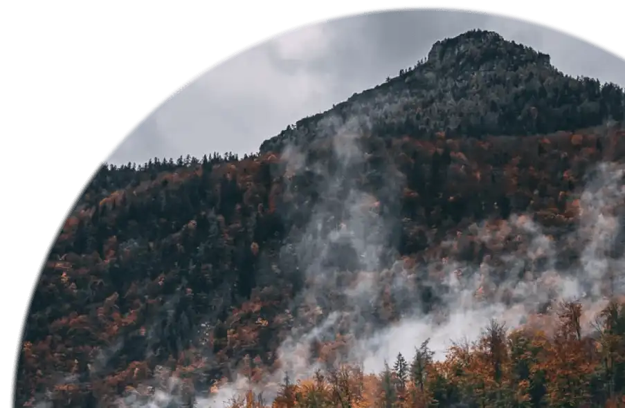 Wildfire API | For Most Accurate Wildfire Data In The World