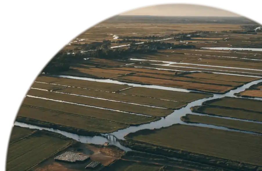 Soil API - Make Better Decisions With Soil Data - Ambee