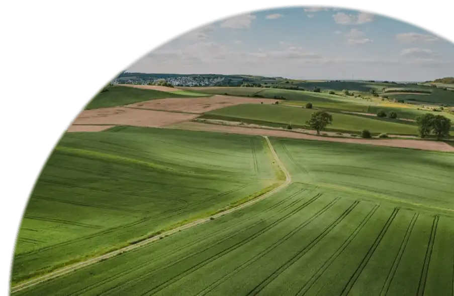 Soil API - Make Better Decisions With Soil Data - Ambee