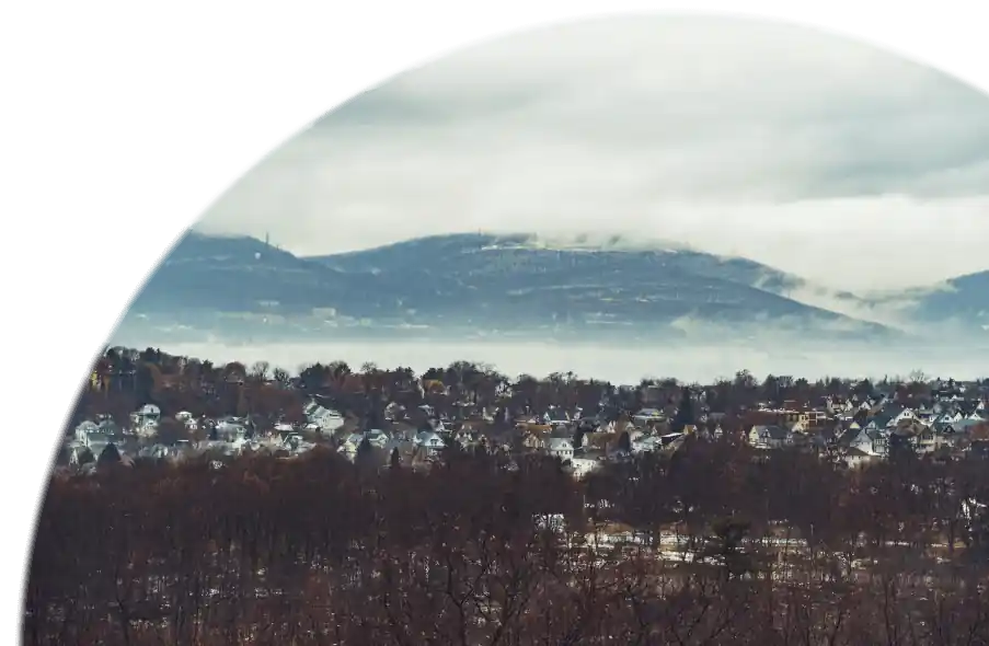 Pollen API: Accurate Hyperlocal Pollen Data Of The World