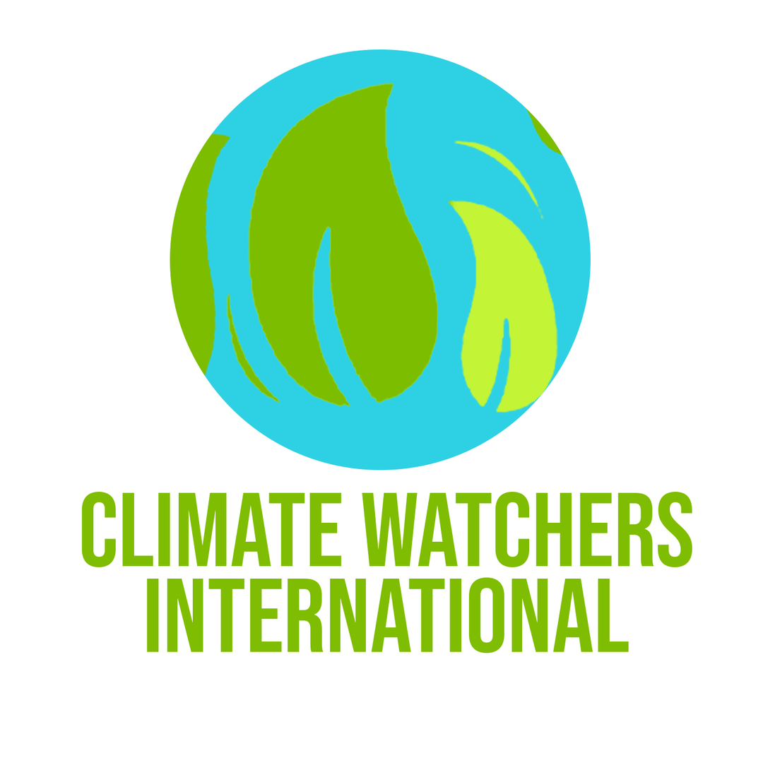 World Rainforest Day