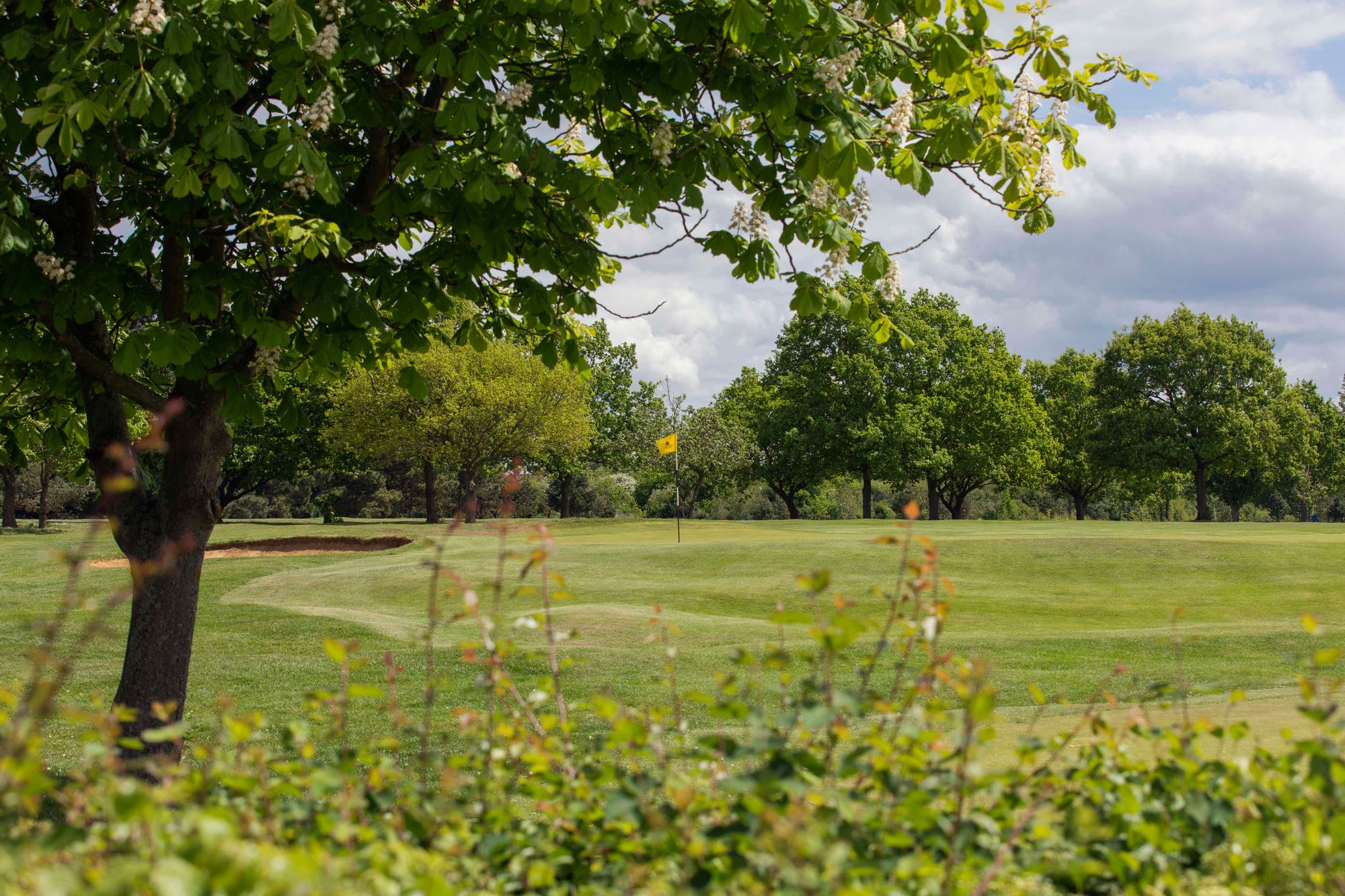 Course Gallery | Chestfield Golf Club