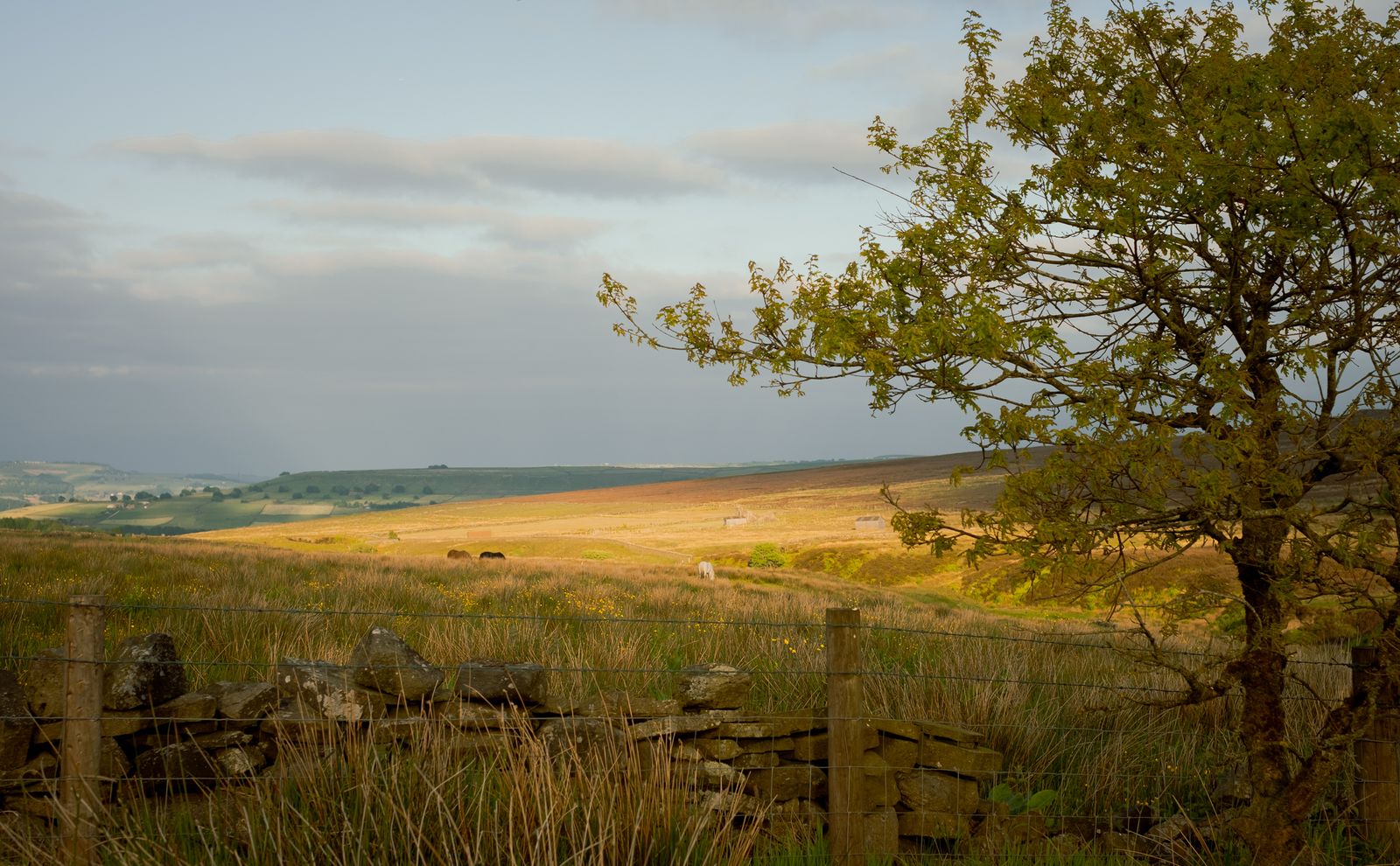 Daisy Bank Camp - Glamping in the Calder Valley