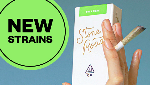 Headquarters - Case Study - Stone Road