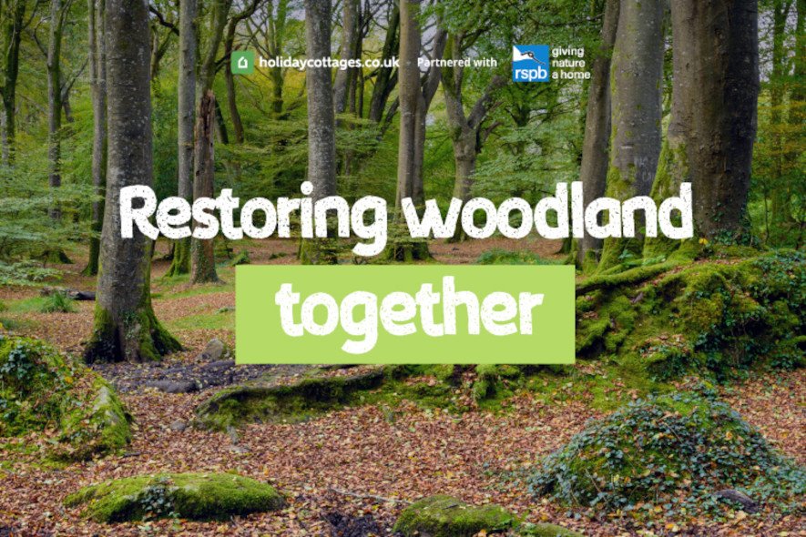 The Travel Chapter - Holiday Letting Agency