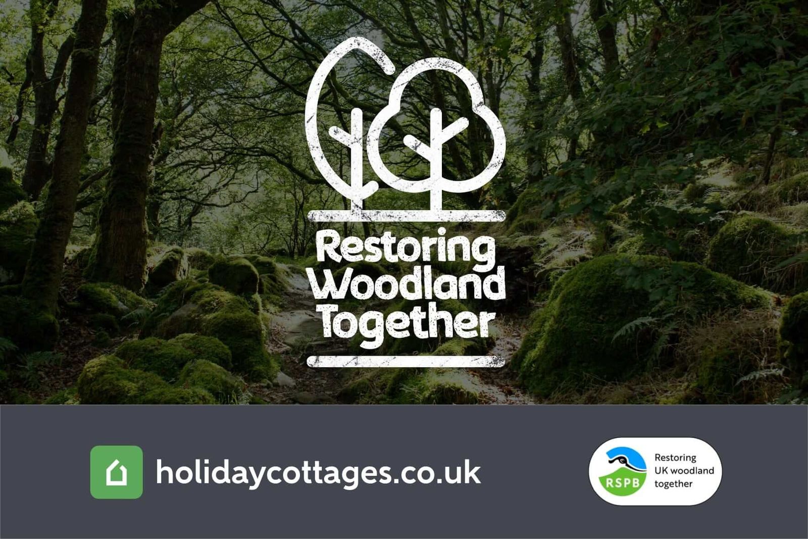 The Travel Chapter - Holiday Letting Agency