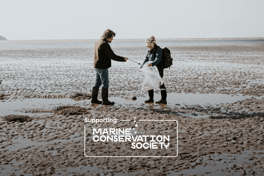 The Travel Chapter - Holiday Letting Agency