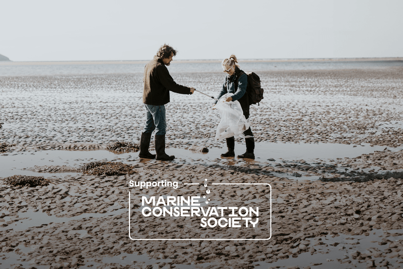 The Travel Chapter - Holiday Letting Agency