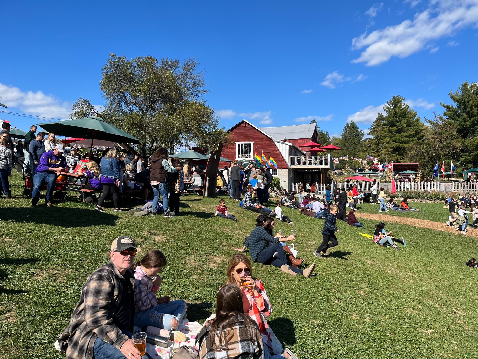Home - Apple Dave's Orchard & Distillery