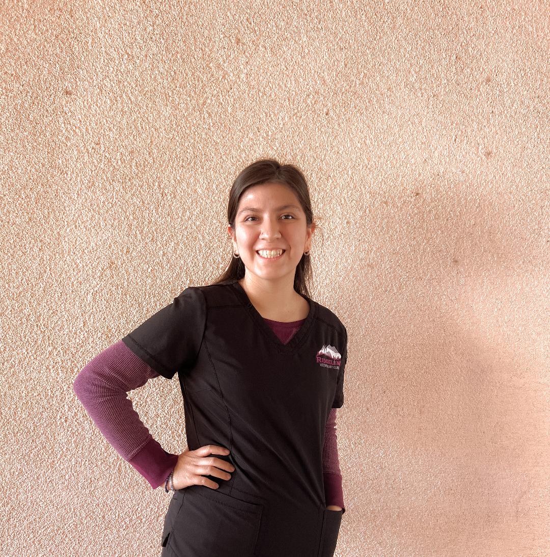 Meet Our Doctor | Dr. Rachel Reedy