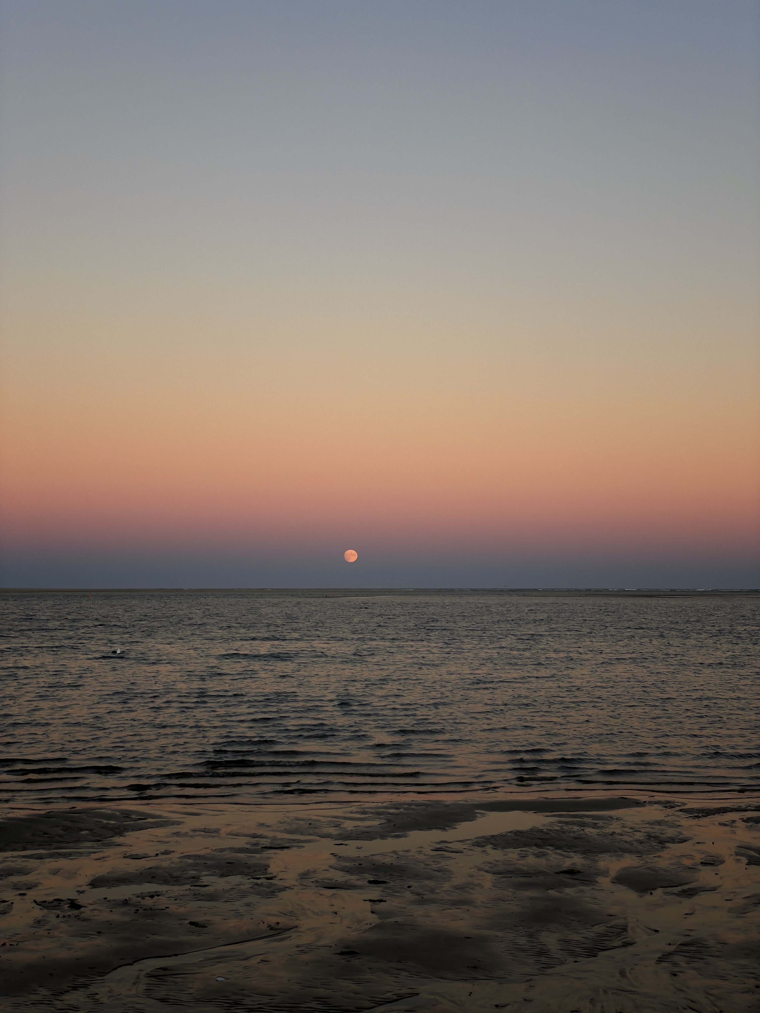 Understanding the Tides: Earth, Moon, and Sun | Tide Guide