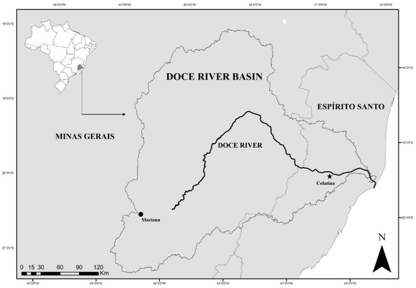 HCV Screening Case Study: Rio Doce Watershed (Brazil) | HCV Network
