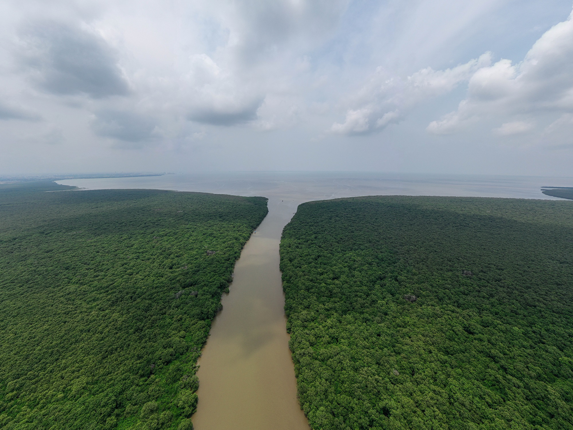 How the HCV Approach can help restore ocean health | HCV Network