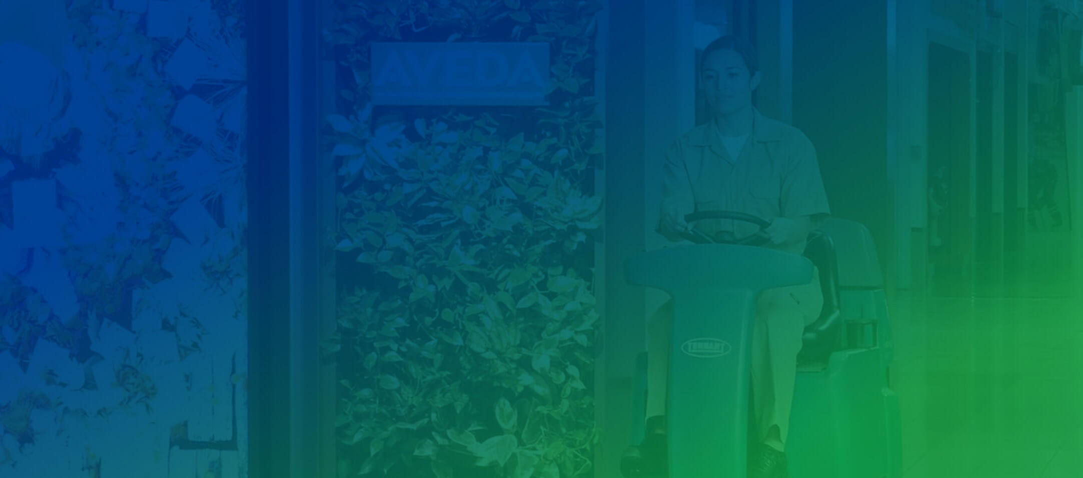 A reformulação da marca no projeto da Candy Clean