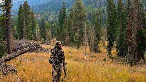 Hybrid Reviews: Sitka Subalpine