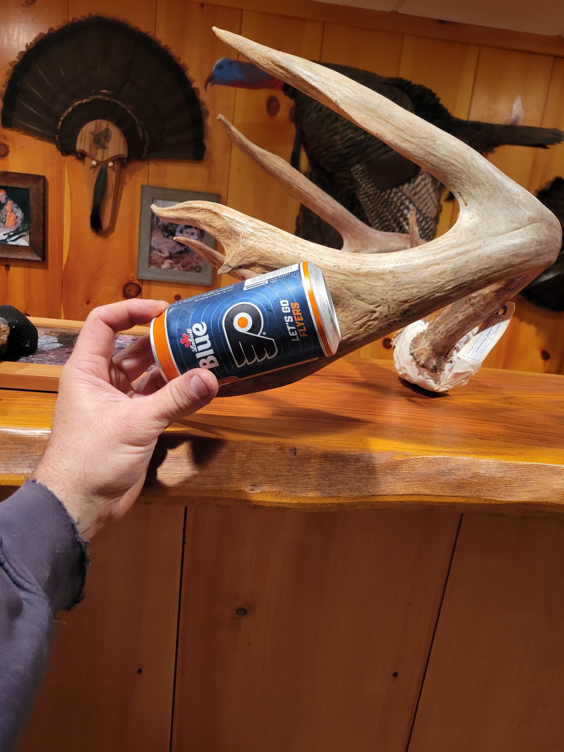 Pennsylvania Woodsman - Pennsylvania Mountain Buck of a Lifetime Hits