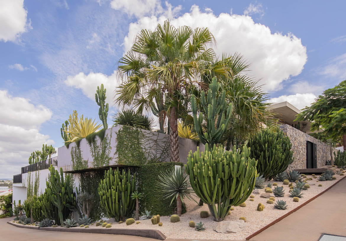 Cactus House Project // The epitome of luxury | Brooke's Blooms