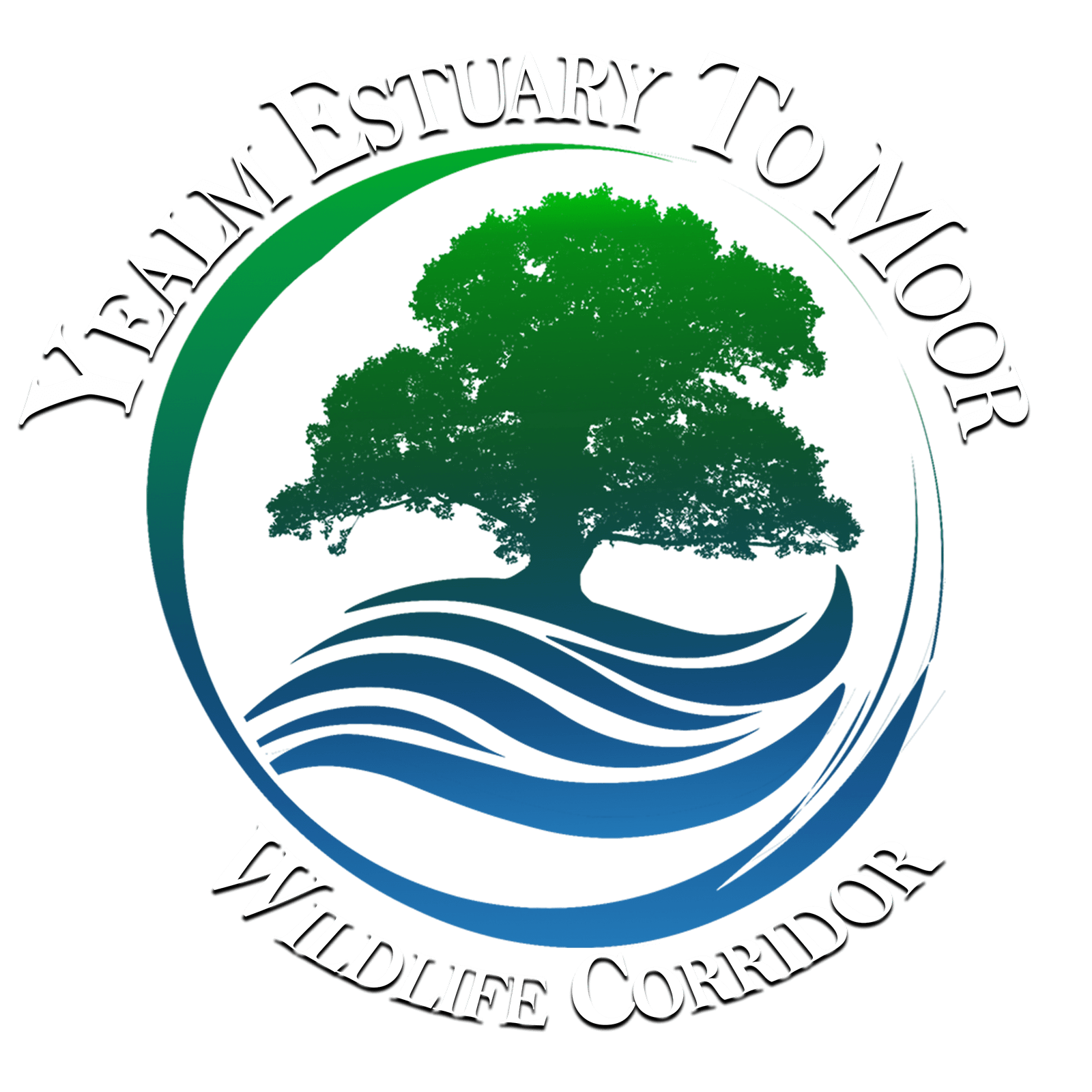 Taking Action Together