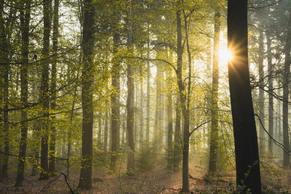 Sustainable South Hams Assembly