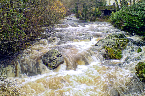 Ermington Environmental Group