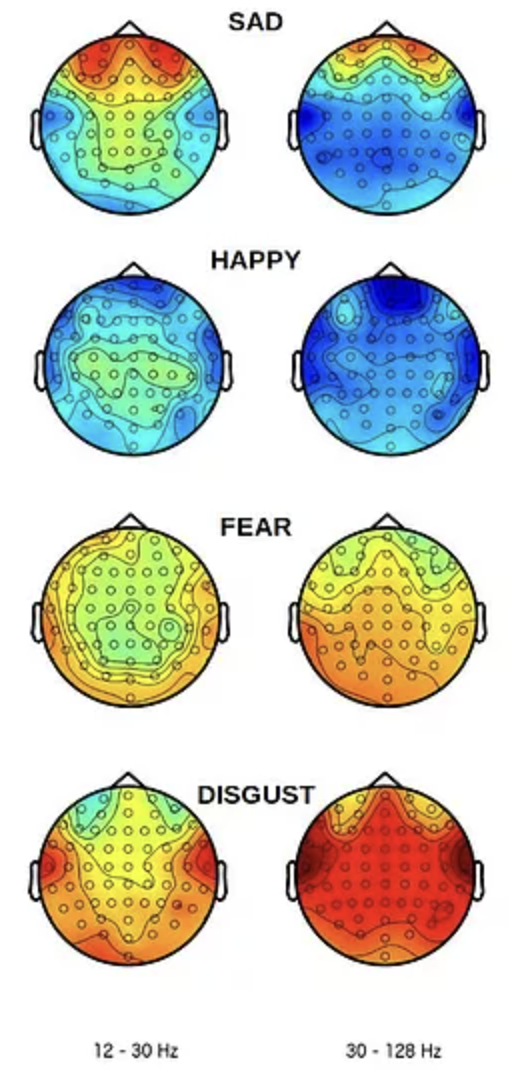 Measuring emotions as they unfold | Neurons