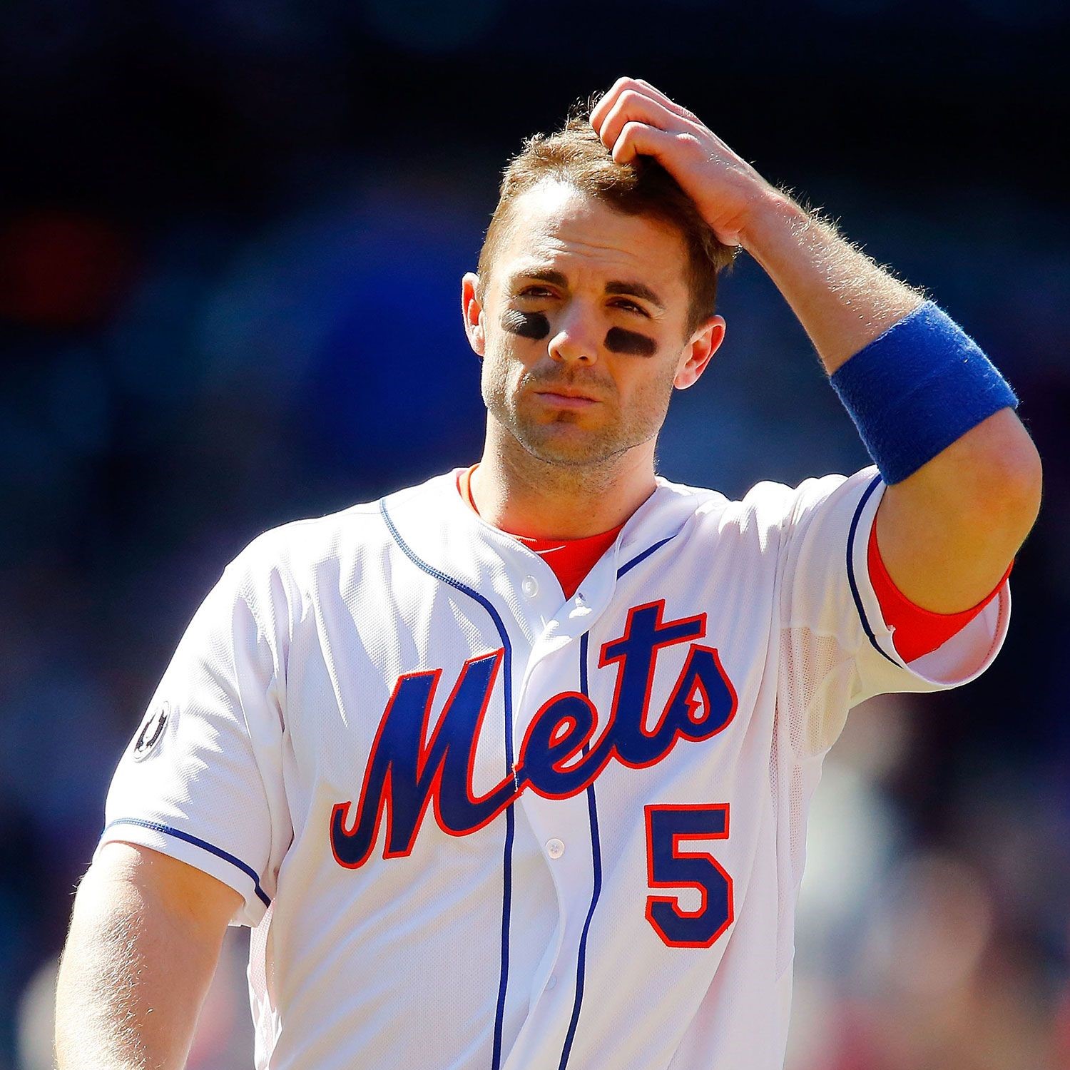 New Jersey Jackals - Baseball Team