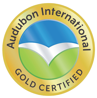 Ocean Drive Beachfront Residences (Concept)