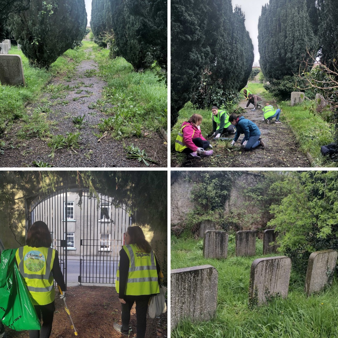 Clonmel Tidy Towns | Project - Quaker Cemetery